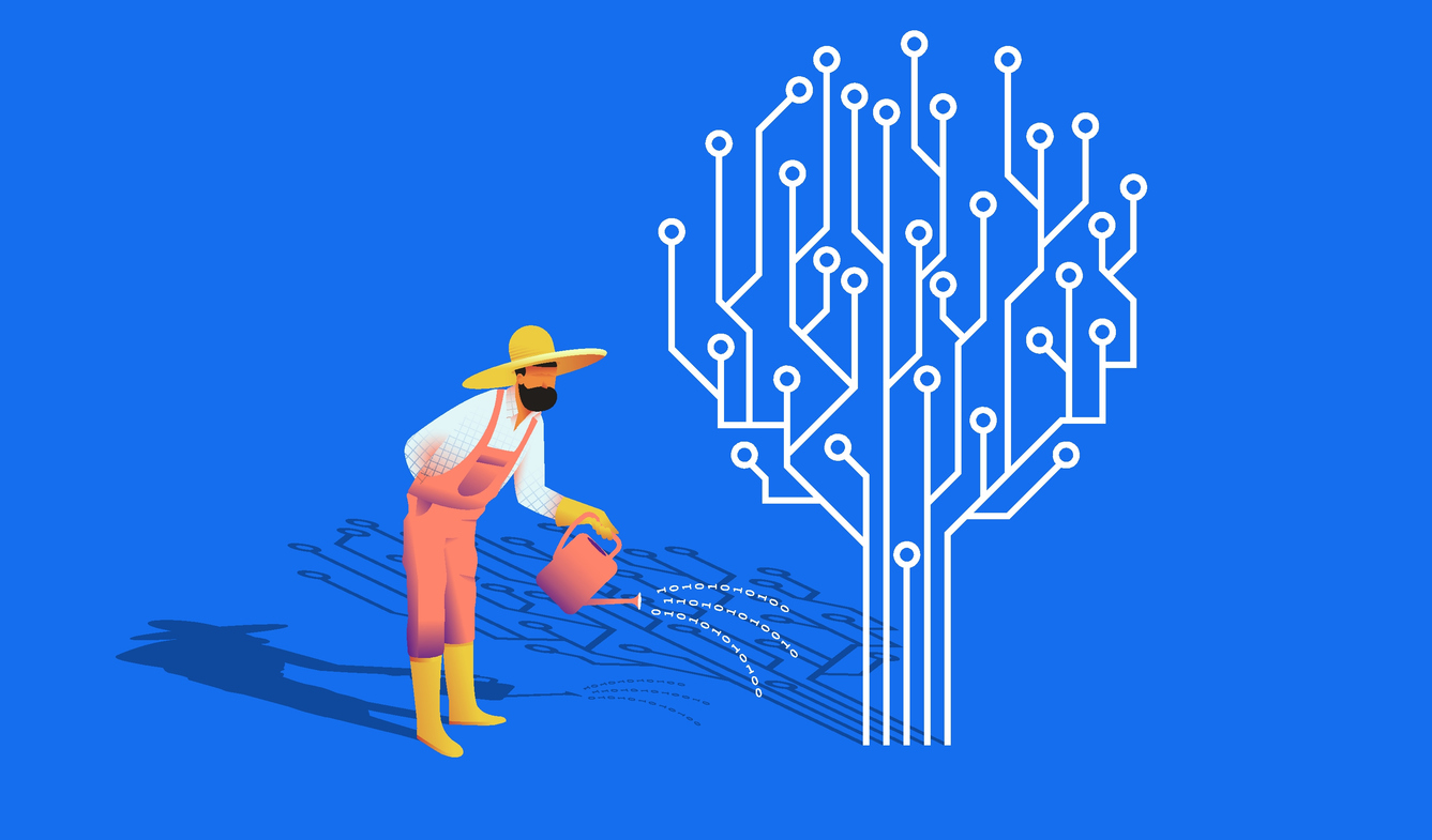 Reddito agrario: meno tasse dopo la riforma - PMI.it